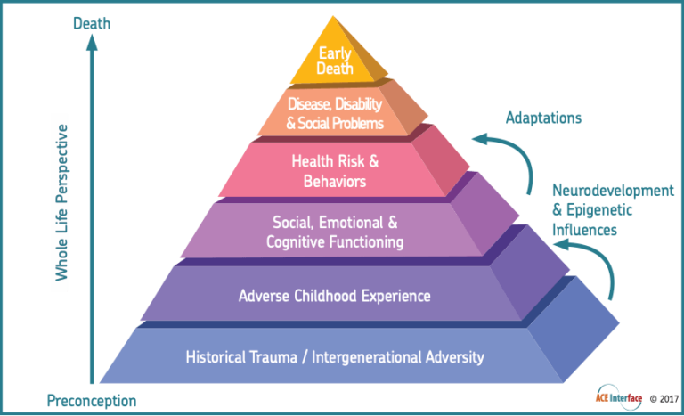 Trauma-informed care • Family Service